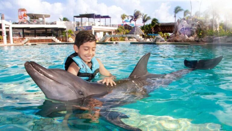 CANCUN: Dolphin Swim Adventure with buffet and soft drinks - Final Thoughts: Is It Worth It?