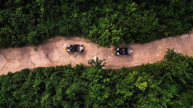 Cancún: Extreme Buggy Adventure with Ziplines & Cenote - Who Will Love This Tour?