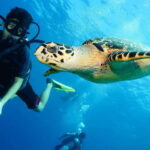 CANCUN: FIRST TIME DIVERS CANCUN - Why We Recommend This Tour