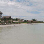 Cancun: Holbox Island Birdwatching and Wildlife Adventure - What Makes This Tour Stand Out?