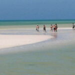 Cancun: Holbox plus Island, Punta Mosquito Trip with Lunch - Who Is This Tour Best For?