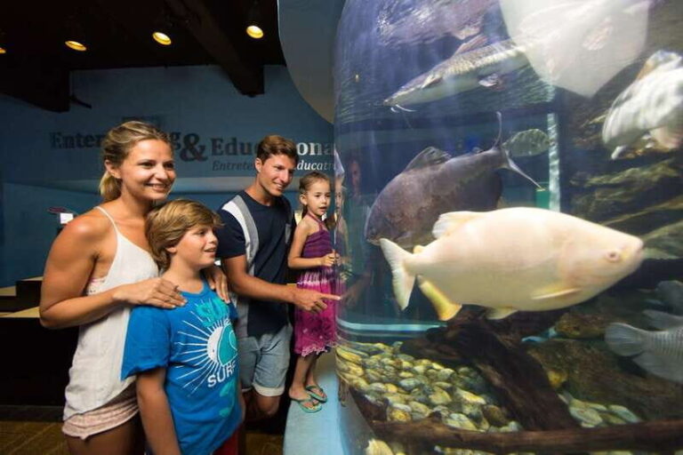 Cancún: Interactive Aquarium Admission - Is the Value Worth It?