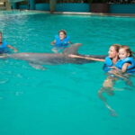 Cancun: Interactive Aquarium - Swim with dolphins Premium - An In-Depth Look at the Cancun Interactive Aquarium Experience