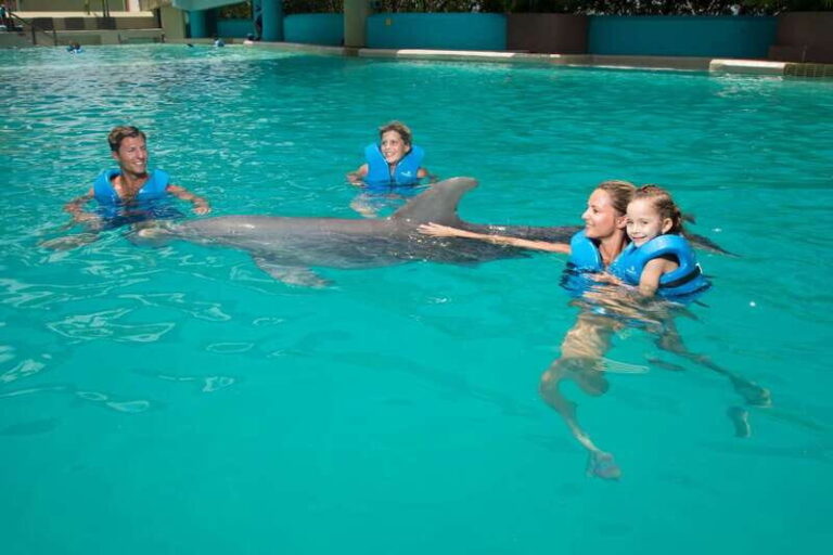 Cancun: Interactive Aquarium - Swim with dolphins Premium - An In-Depth Look at the Cancun Interactive Aquarium Experience
