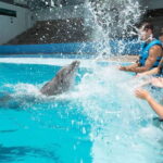 Cancun: Interactive Aquarium - Swim with Dolphins Splash - The Pros and Cons: An Honest Look