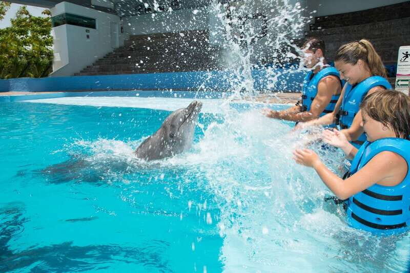 Cancun: Interactive Aquarium - Swim with Dolphins Splash - The Pros and Cons: An Honest Look
