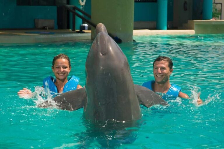 Cancun: Interactive Aquarium Ticket and Swim with Dolphins - The Value of This Experience