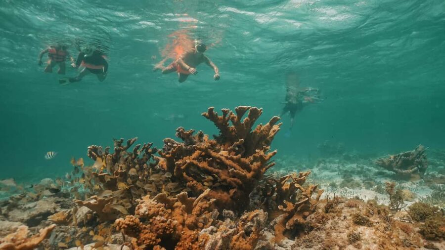 Cancun: Isla Mujeres Adults Only Party Catamaran with Drinks - Practical Details and What to Know