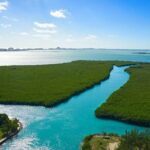 Cancun Jungle Tour with Speedboat and Snorkeling - Authentic Experiences: What Travelers Say