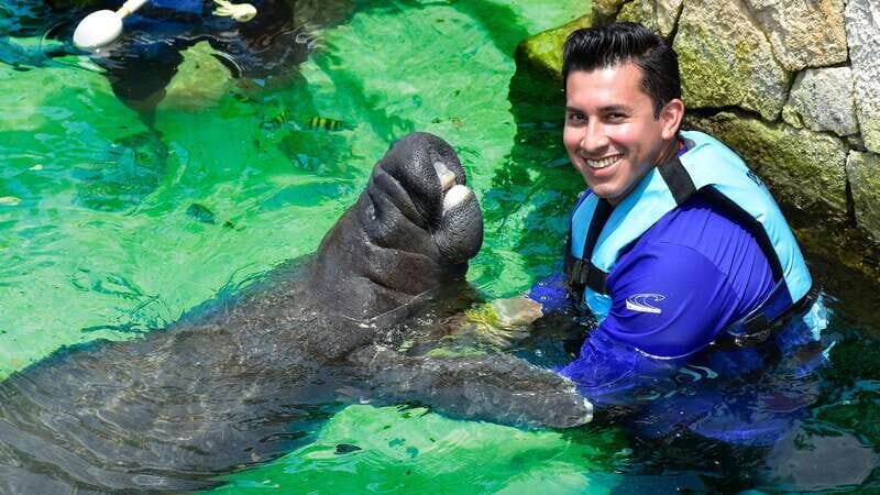 Cancún: Manatee Encounter on Isla Mujeres with Buffet Lunch - The Experience Beyond the Encounter