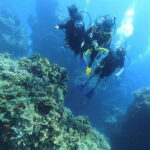 Cancun: Parrotfish Adventure Package - Final Thoughts: Is the Parrotfish Adventure Package for You?