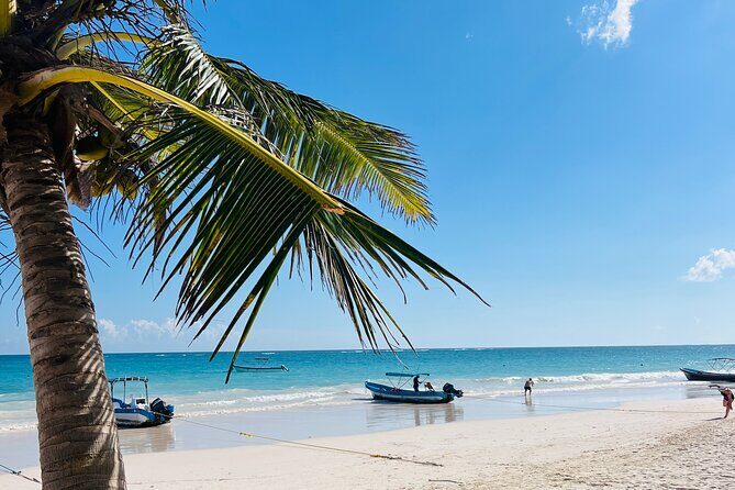 Cancun Private Driver - What Can You Do in 12 Hours?