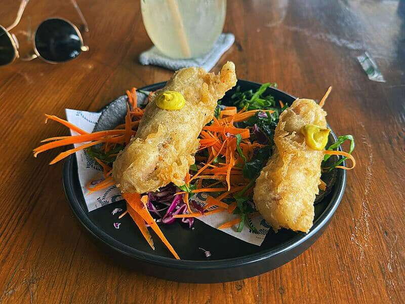 Cancún: Puerto Morelos City & Taco Tour - Who Is This Tour Best For?