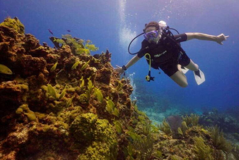 Cancun: Shipwreck and Reef Dives - Why This Tour Stands Out