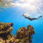 Cancun: Snorkeling Adventure at Puerto Morelos Reef - Authentic Experiences You Can Expect