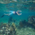 Cancun: Snorkeling Tour with Hotel Pickup - Who Should Consider This Tour?