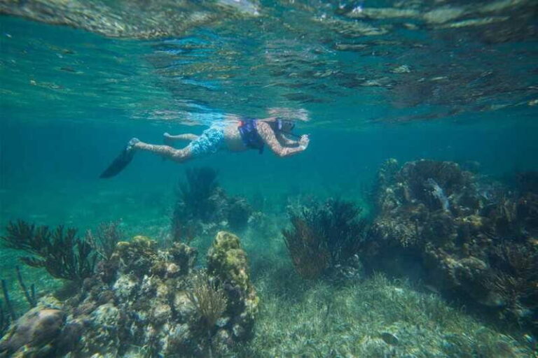 Cancun: Snorkeling Tour with Hotel Pickup - Who Should Consider This Tour?