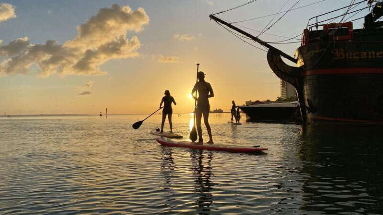Cancun: Sunrise/Sunset Stand-Up Paddleboarding Tour - What to Expect from the Itinerary