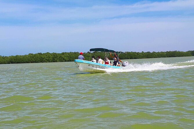 Cancun tour Las Coloradas Pink Lagoon + Rio Lagartos Tour - The Value of this Tour