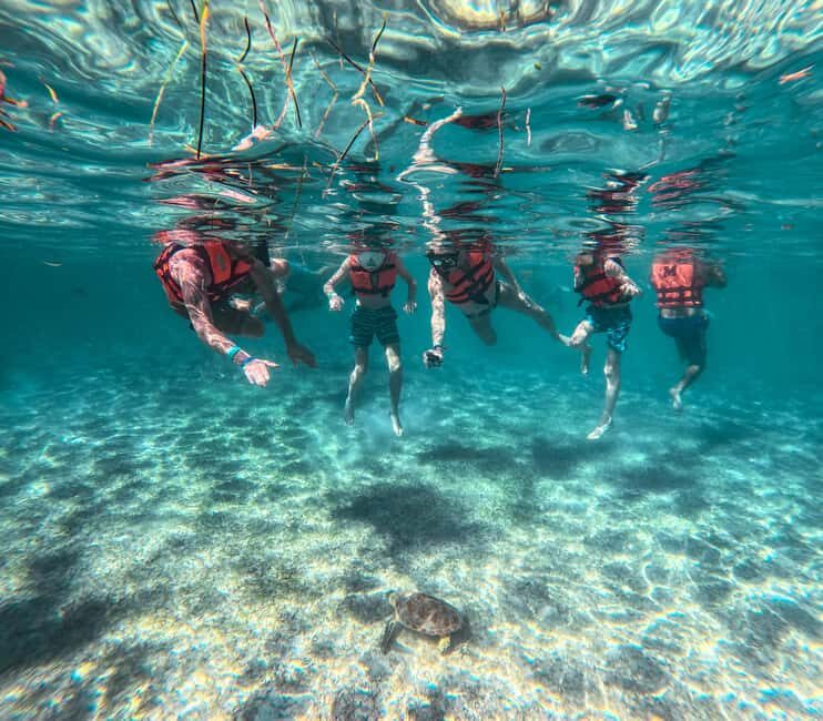 Cancun: Tulum Ruins, Akumal Turtles, Cenote & Caves Tour - Final Thoughts