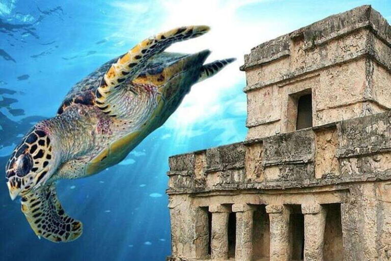 Cancun: Tulum Ruins & Snorkeling with Sea Turtles Tour - Snorkeling in Akumal with Sea Turtles