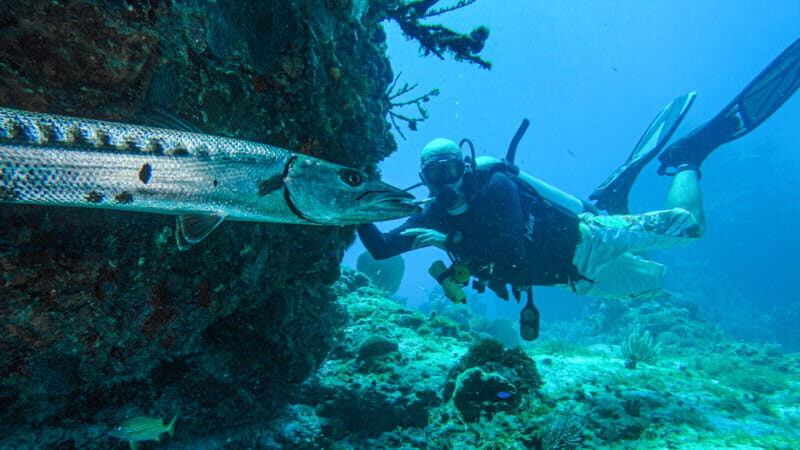Cancún: Wreck and Reef for Certified Scuba Divers - Whats Included and Whats Not