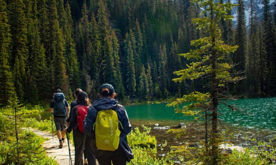 Canmore/Banff: Premium hiking tours in Banff region - Why This Tour Works for Different Travelers