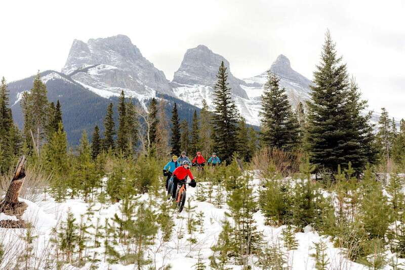 Canmore: Explore Winter Wildlife Tracks - 2hr Nature Walk - What Makes This Tour Worth Considering?