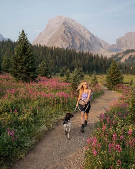 Canmore: Medicinal and Edible Plants, 2-hour Nature Walk - What to Expect from the Tour