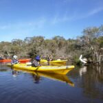Canning River Half-Day Kayak Wildlife Tour - The Experience in Detail