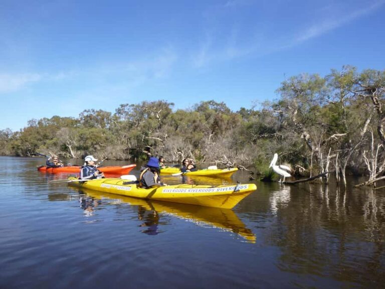 Canning River Half-Day Kayak Wildlife Tour - The Experience in Detail