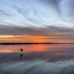 Cape Coral: Private Dolphin and Sunset Cruise - FAQs