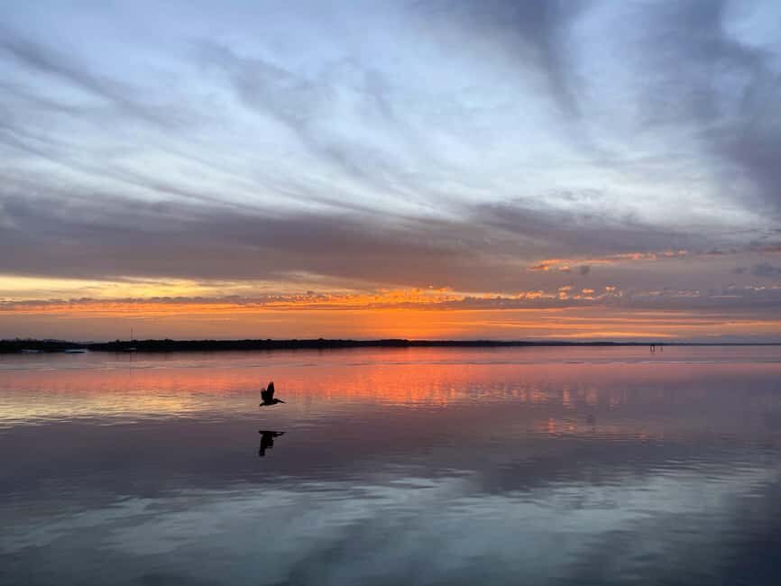 Cape Coral: Private Dolphin and Sunset Cruise - FAQs