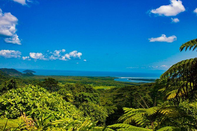 Cape Tribulation Day Tour - What’s Included and What You Should Bring