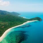 Cape Tribulation, Mossman Gorge and Daintree Rainforest Day Tour - Transportation, Group Size, and Overall Value