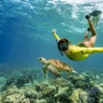 Cape Tribulation Ocean Safari - Great Barrier Reef Adventure - The Itinerary Breakdown