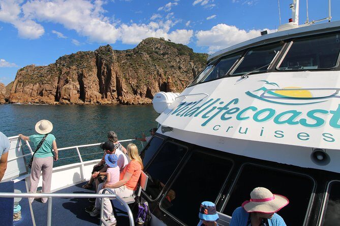 Cape Woolamai Sightseeing Cruise from San Remo - Exploring the Itinerary in Detail