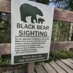 Capilano Br+Granville Isl+Capilano Hatchery+Lynn Canyon Tour - Transportation, Group Size, and Value