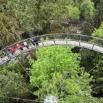 Capilano Br+Grouse Mtn+Dam+Lake+Hatchery/5in1CarTour+Small Group - Who Would Enjoy This Tour?