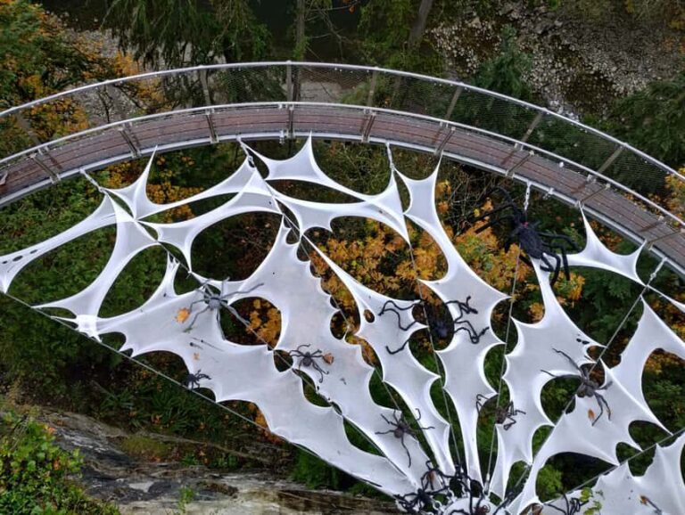 CAPILANO BR+GROUSE Mtn+STANLEY P+DAM+LAKE+HATCHERY/CAR/9in1 - Value for Money and Practical Considerations