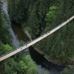 Capilano Suspension Bridge Park Ticket - What the Reviews Say