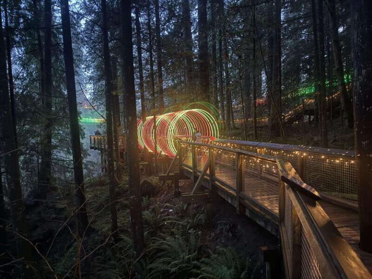 Capilano Suspension Bridge/Private/Small Group/By LUX CAR - What to Expect: Practical Details & Tips