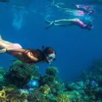 Capt Cook Cruises Super Saver Combo: Day Sail + Dinner Cruise - Who Should Consider This Experience?