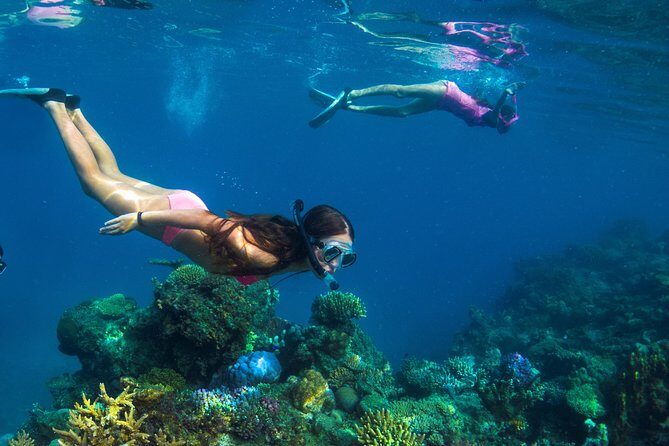 Capt Cook Cruises Super Saver Combo: Day Sail + Dinner Cruise - Who Should Consider This Experience?