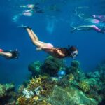Captain Cook Cruises Fiji - Island and Reef Day Cruise - Deep Dive into the Experience: What You Can Expect