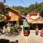 Captivating Railway Journey in Coromandel - Authentic Feedback from Visitors