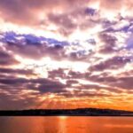 Capture LA's Coastal Magic-Wildlife, Marina Photography Tour - Why This Tour Works Well