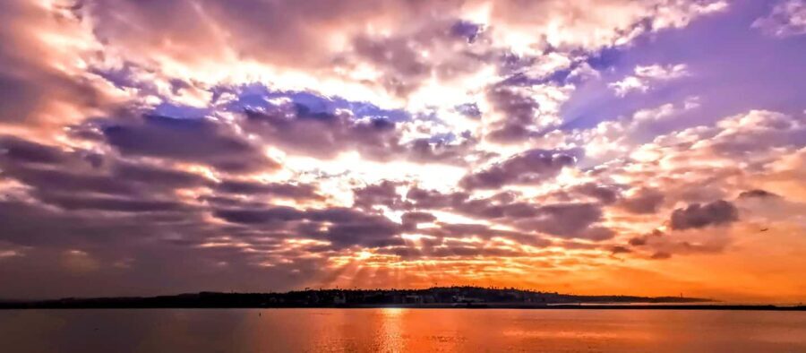 Capture LA's Coastal Magic-Wildlife, Marina Photography Tour - Why This Tour Works Well