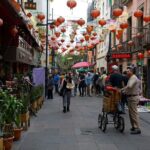 Car rental with private driver, know Mexico City - Practical Aspects: Logistics, Price, and Value