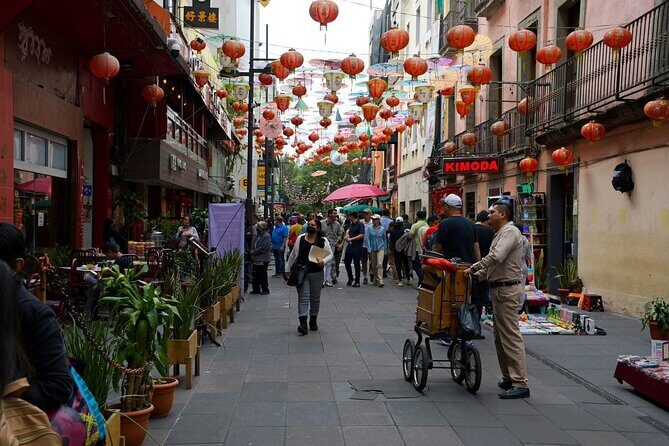 Car rental with private driver, know Mexico City - Practical Aspects: Logistics, Price, and Value